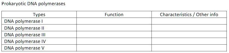 SOLVED:Prokaryotic DNA polymerases Types DNA polymerase DNA polymerase ...