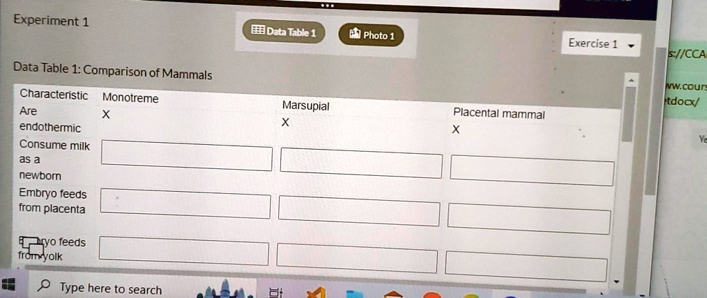 SOLVED: Experiment 1 Data Table 1 Photo 1 Exercise 1 S://CCA Data Table ... SOLVED: Experiment 1 Data Table 1 Photo 1 Exercise 1 S://CCA Data Table ...
