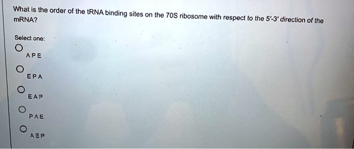 What is the order of the tRNA binding sites on the 70S ribosome with ...