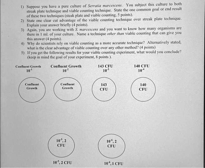 SOLVED: Suppose you have a pure culture of Serratia marcescens. You ...
