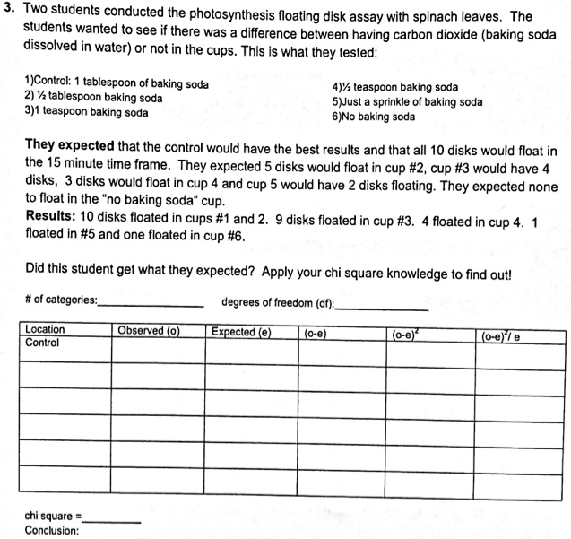two students conducted the photosynthesis floating disk assay with ...