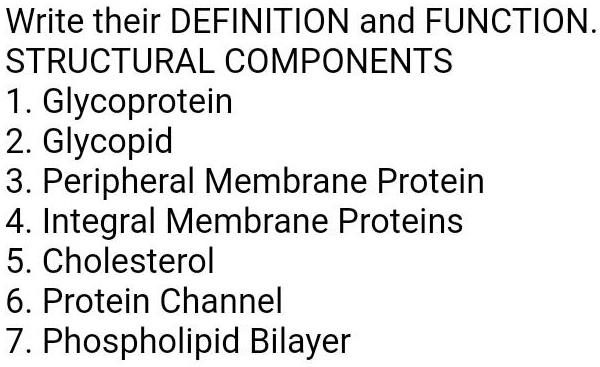 SOLVED: Write their DEFINITION and FUNCTION STRUCTURAL COMPONENTS 1 ...