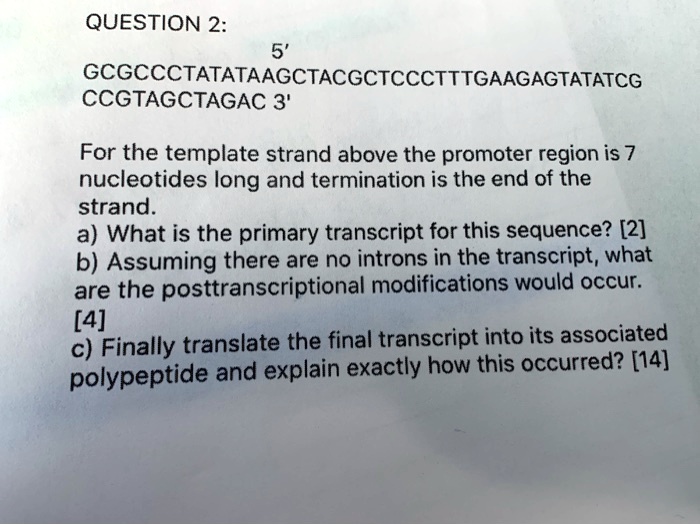 SOLVED: QUESTION 2: GCGCCCTATATAAGCTACGCTCCCTTTGAAGAGTATATCG CCGTAGCTAGAC 3' For the template ...