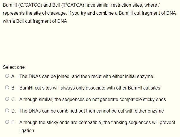 Bamhi gigatcc and bcll tigatca have similar restriction...