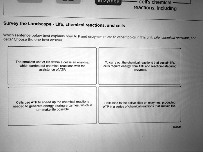 SOLVED: Enymes cells chemical reactions, including Survey the Landscape Life, chemical reactions ...