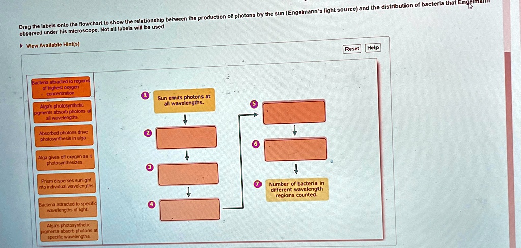 Drag the labels onto the flowchart to show the relationship between the ...