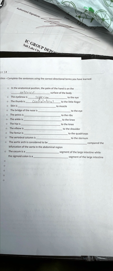 SOLVED: Authorized signature. Practice - Complete the sentences using ...