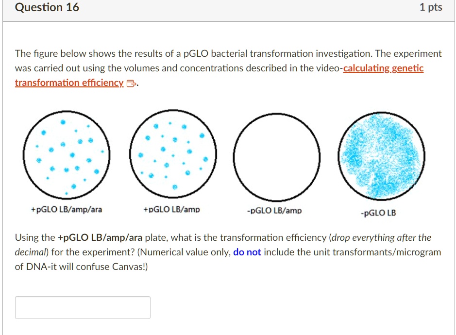 Question 16 1 pts The figure below shows the results of a pGLO ...