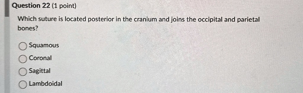 question 22 1 point which suture is located posterior in the cranium ...