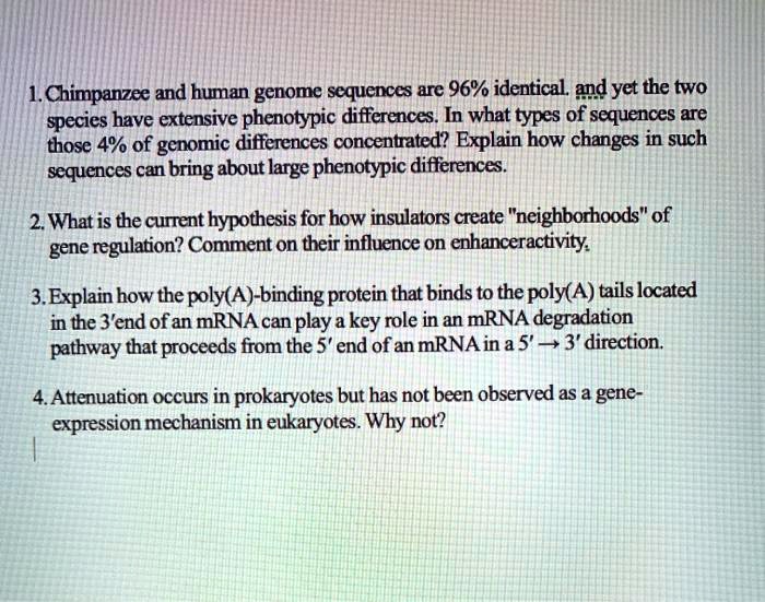 SOLVED:Chimpanzee and human genome sequenccs are 96% identical and yet ...