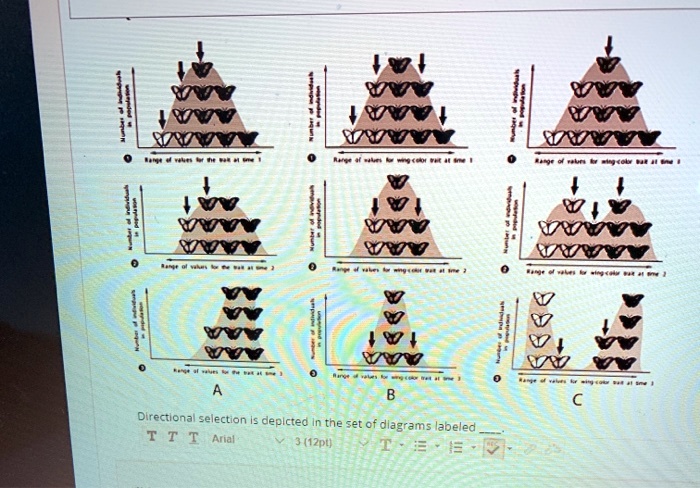 SOLVED: Directional selection deplcted the set of dlagrams labeled T T I Arial (12p0]