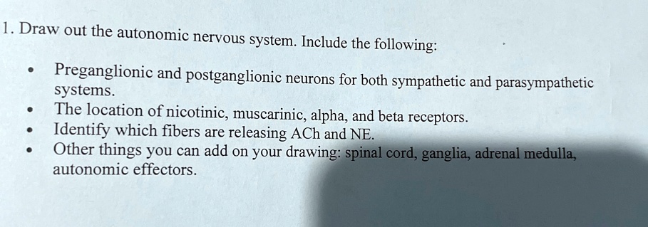 1. Draw out the autonomic nervous system. Include the following ...