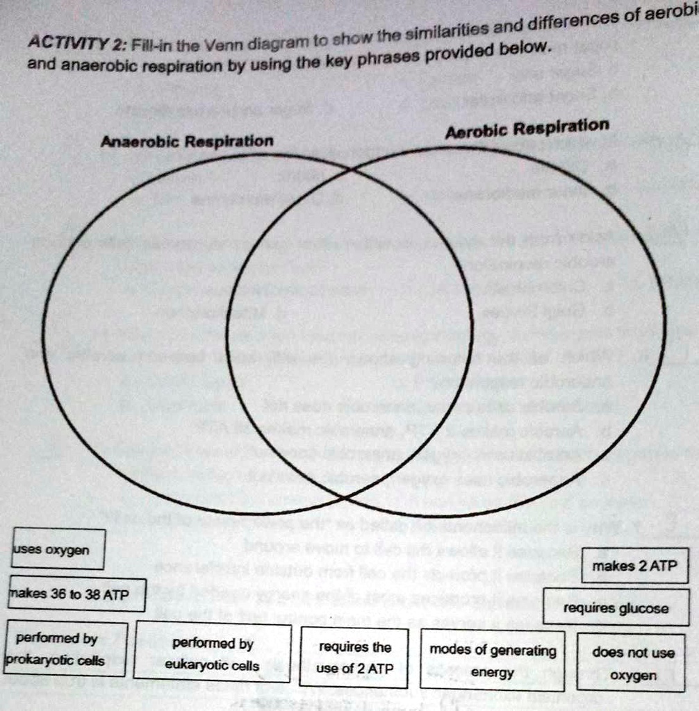 ACTIVITY 2: Fill-in the Venn diagram to show the similarities and differences of aerobic and ...