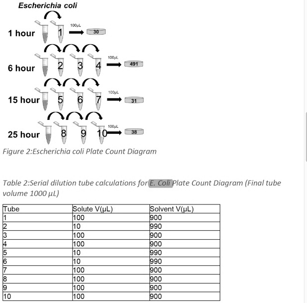 escherichia coli kl hour hour joju 15 hour 1ooul 10 25 hour figure ...