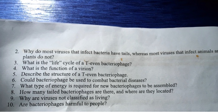 Solved Why Do Most Viruses That Infect Bacteria Have Tails Whereas Most Viruses That Infect