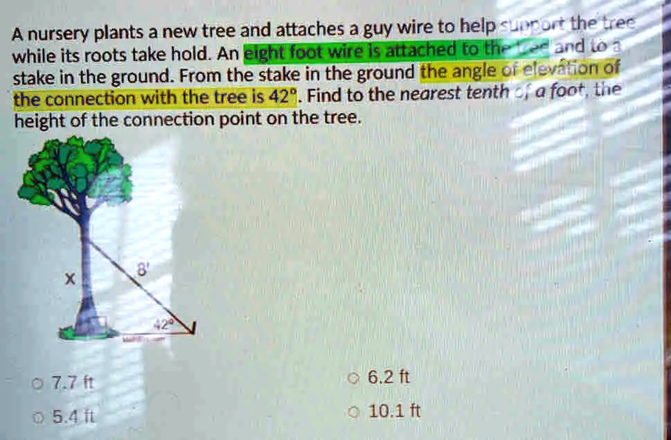SOLVED: A nursery plants a new tree and attaches a guy wire to help