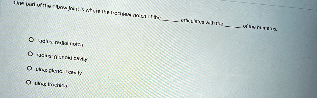 One part of the elbow joint is where the trochlear notch of the ...