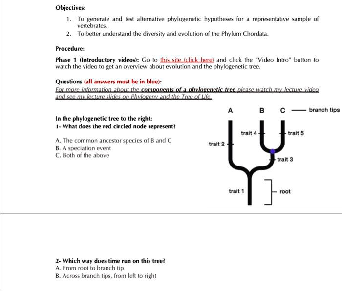 objectives generate and test alternative phylogenetic hypotheses tor ...