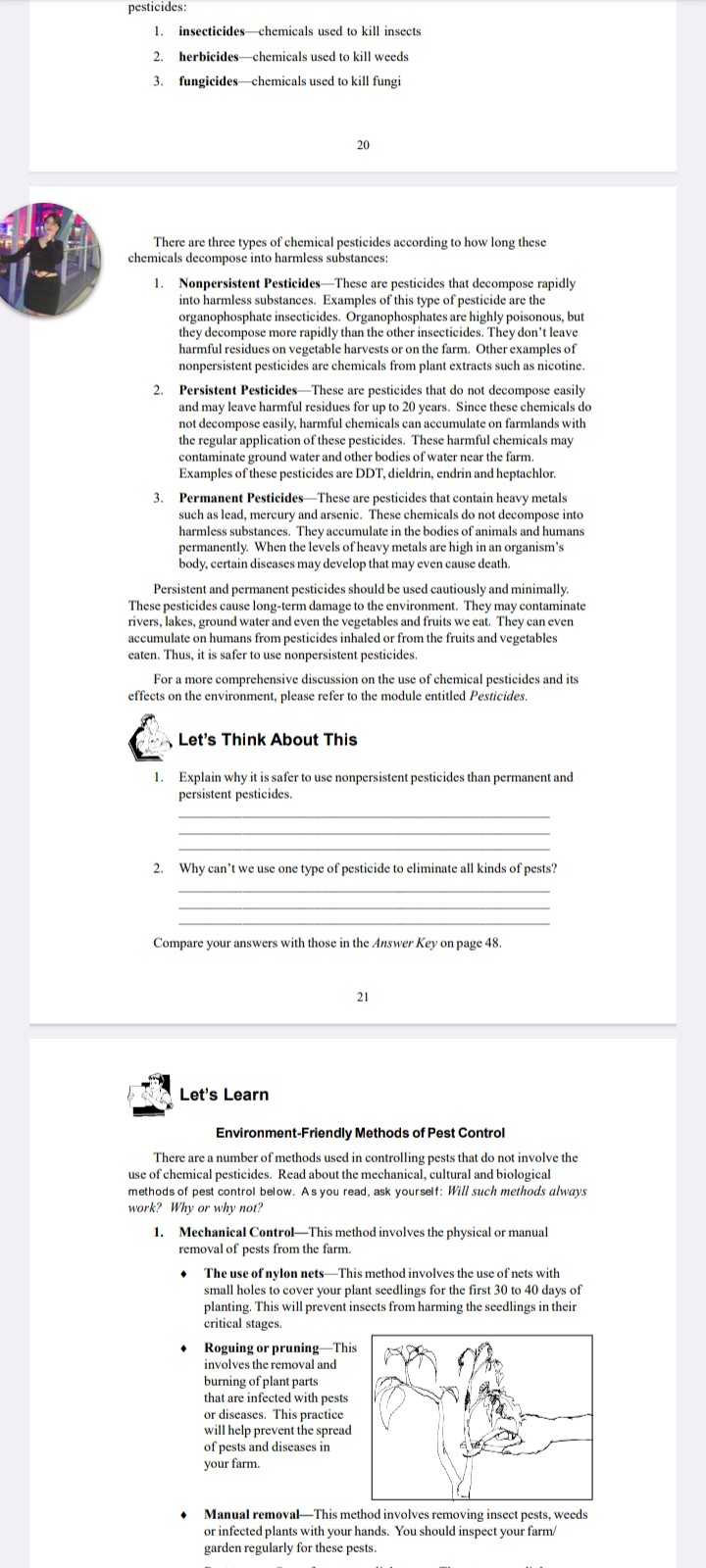 pesticides: 1. insecticides - chemicals used to kill insects 2 ...