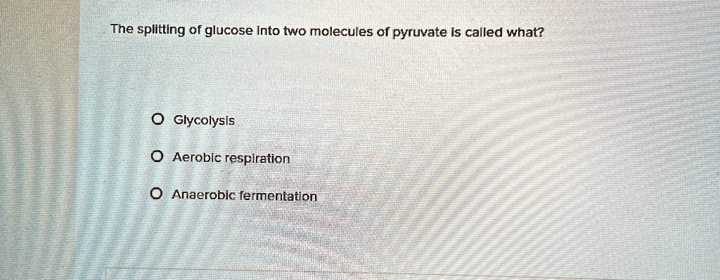 The splitting of glucose into two molecules of pyruvate is called what ...