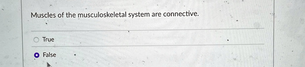 Muscles of the musculoskeletal system are connective. True False
