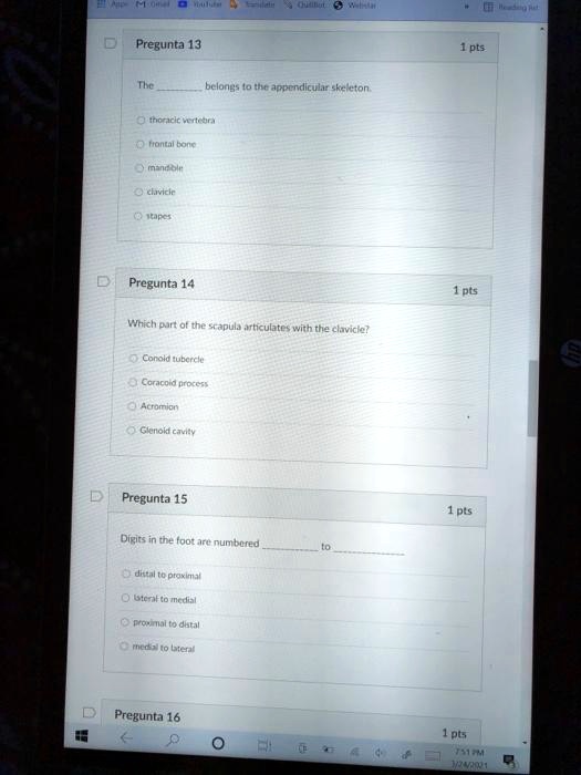 Pregunta 13 The belongs to the appendicular skeleton. thoracic vertebra frontal bone mandible ...