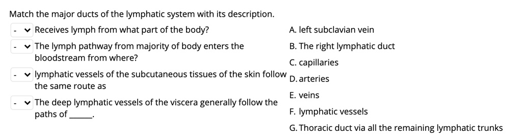 Match the major ducts of the lymphatic system with its description ...