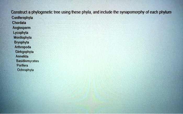 Construct a phylogenetic tree using these phyla, and include the ...