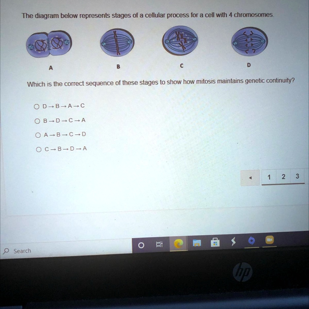 SOLVED: The diagram below represents stages of a cellular process for a cell with 4 chromosomes ...
