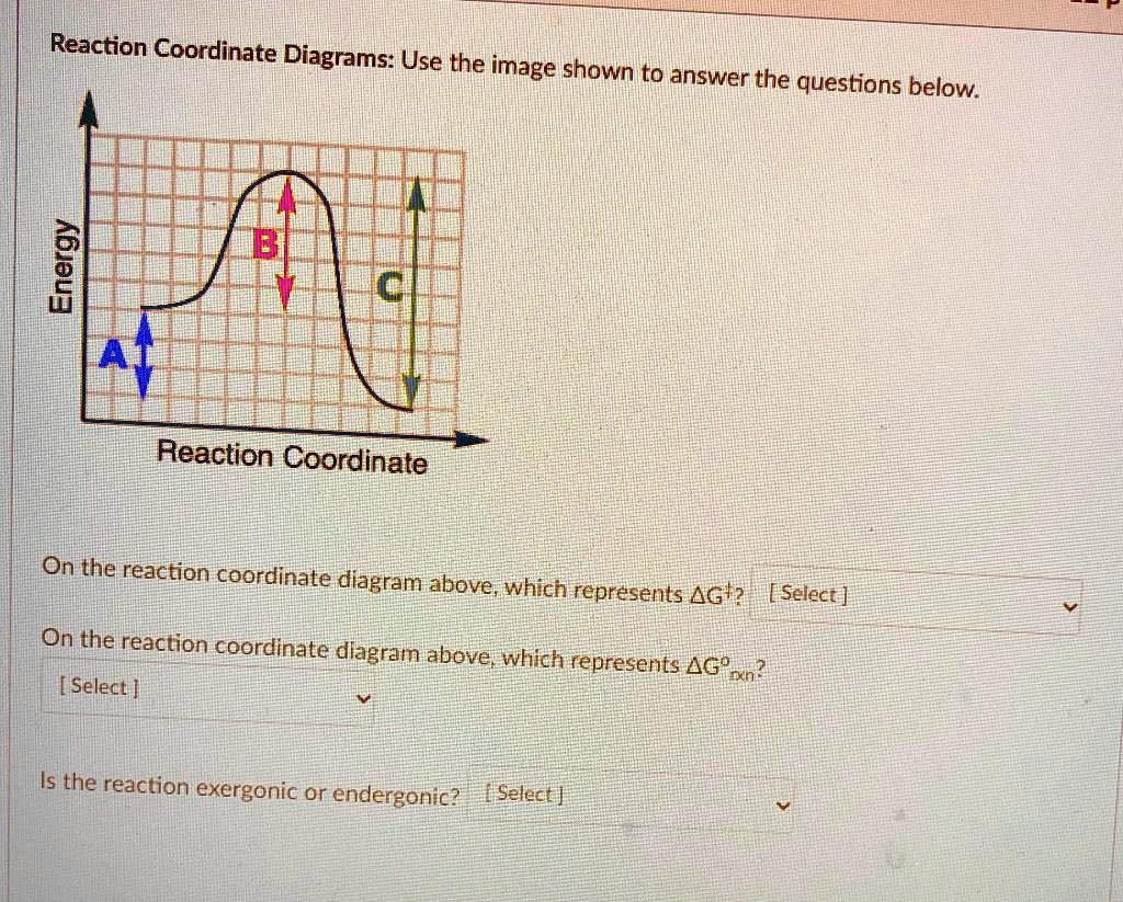 SOLVED: Reaction Coordinate Diagrams: Use the image shown to answer the ... SOLVED: Reaction Coordinate Diagrams: Use the image shown to answer the ...
