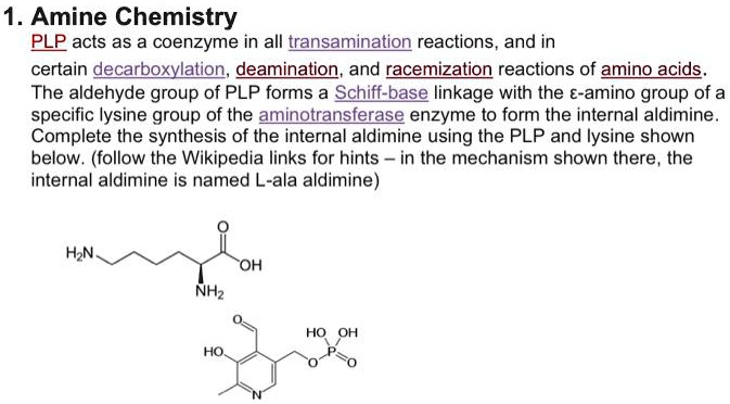 SOLVED: 1. Amine Chemistry PLP acts as a coenzyme in all transamination ...