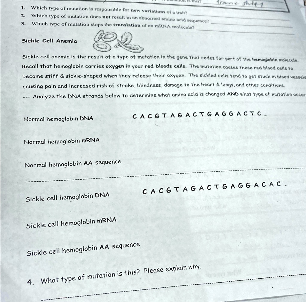 SOLVED: trancesidit Which type of mutation is responsible for new ...