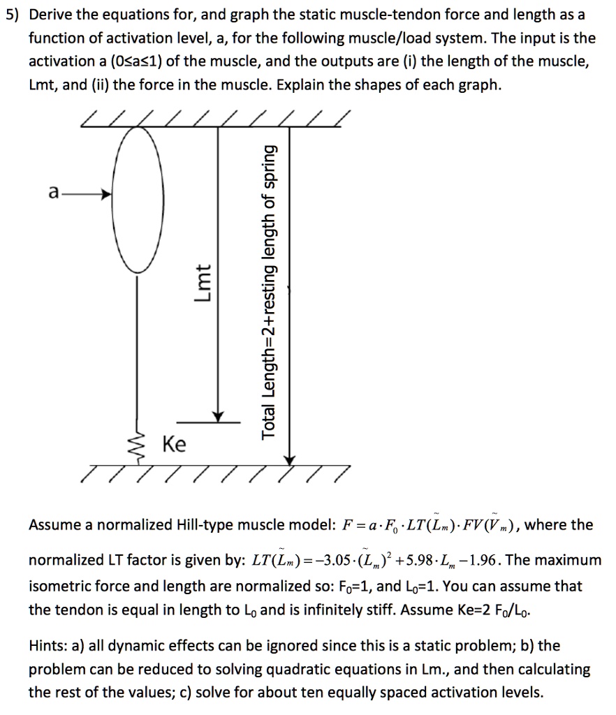 5) Derive the equations for, and graph the static muscle-tendon force ...