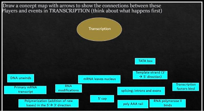 SOLVED: DDraw a concept map with arrows t0 show the connections between ...