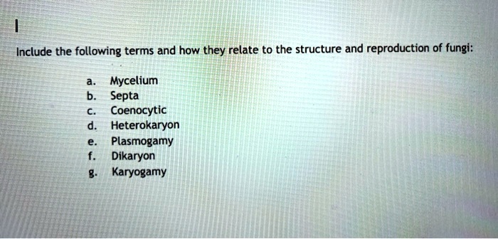 include the following terms and how they relate to the structure and ...