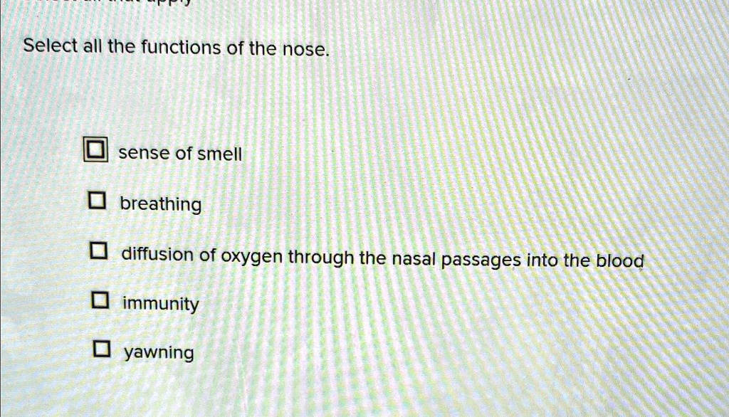 select all the functions of the nose sense of smell breathing diffusion ...