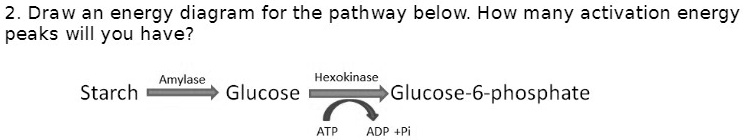 SOLVED: '2. Draw an energy diagram for the pathway below How many ...