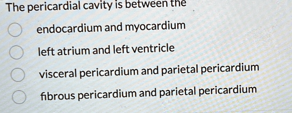the pericardial cavity is between the endocardium and myocardium left ...