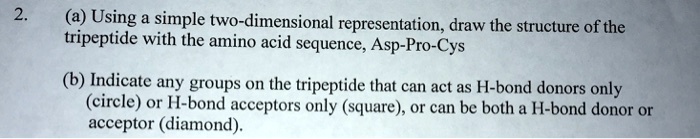 2. (a) Using a simple two-dimensional representation, draw the ...