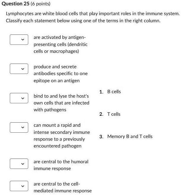 Question 25 (6 points) Lymphocytes are white blood cells that play ...