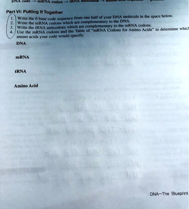 SOLVED: DNA code mRNA codon Part VI: Putting It Together Write the base ...