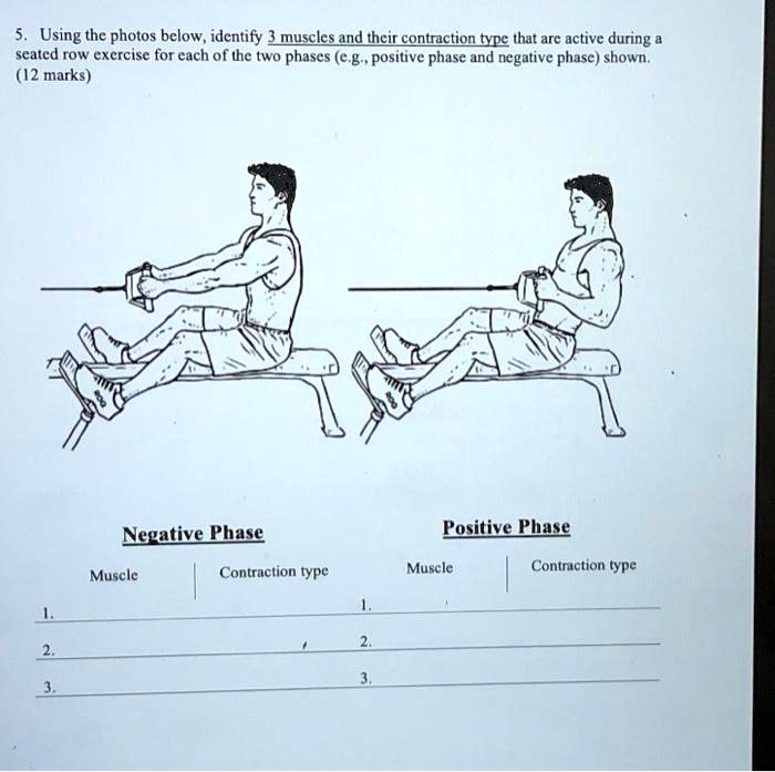 5. Using the photos below, identify 3 muscles and their contraction ...