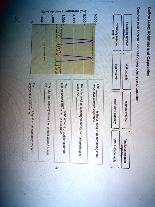SOLVED: 1,000 Lung volumes 2,000 3,000 milliliters 4,000 (mL) 5,000 6,000 expiratory reserve ...