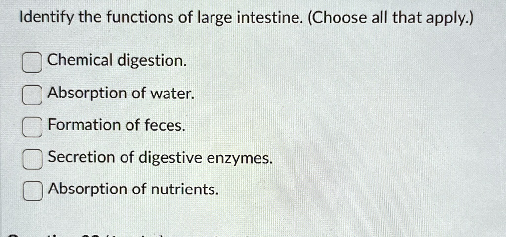 identify the functions of the large intestine choose all that apply ...