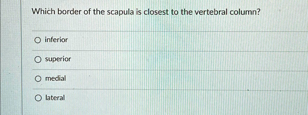 Which border of the scapula is closest to the vertebral column ...