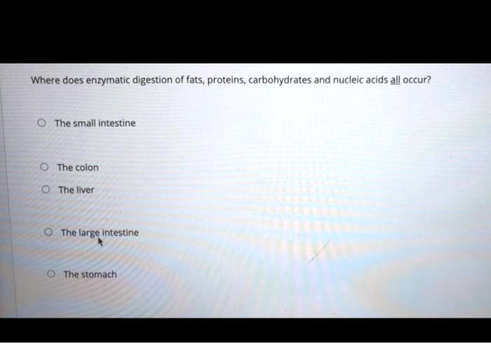 SOLVED: Where does enzymatic digestion of fats, proteins, carbohydrates ...