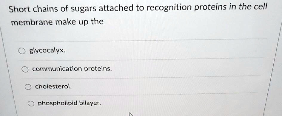 SOLVED: Short chains of sugars attached to recognition proteins in the ...