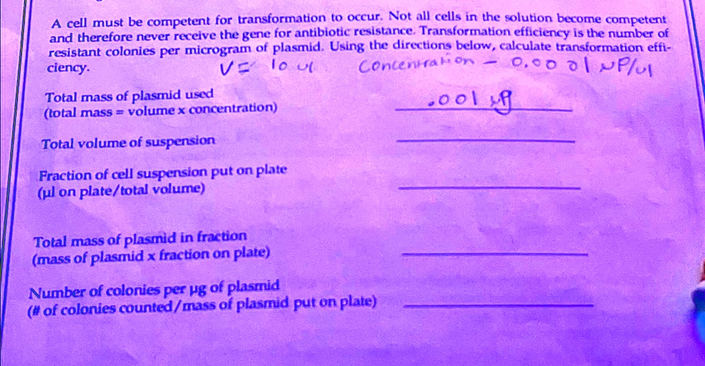 A cell must be competent for transformation to occur. Not all cells in ...
