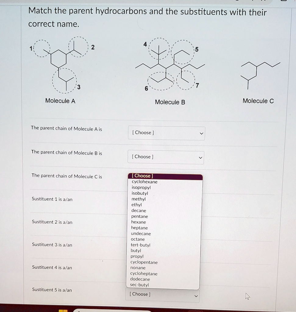 SOLVED: Match the parent hydrocarbons and the substituents with their ...