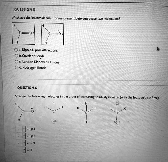 SOLVED: QUESTION 5 What are the intermolecular forces present between ...